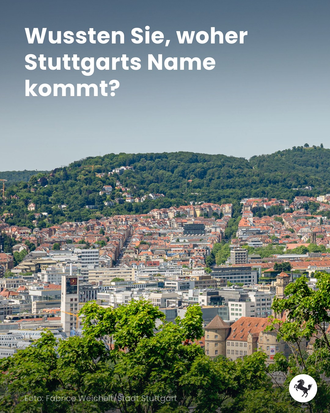 So Einer Kommt In Stuttgart Buchstablich Nur Zweimal Vor